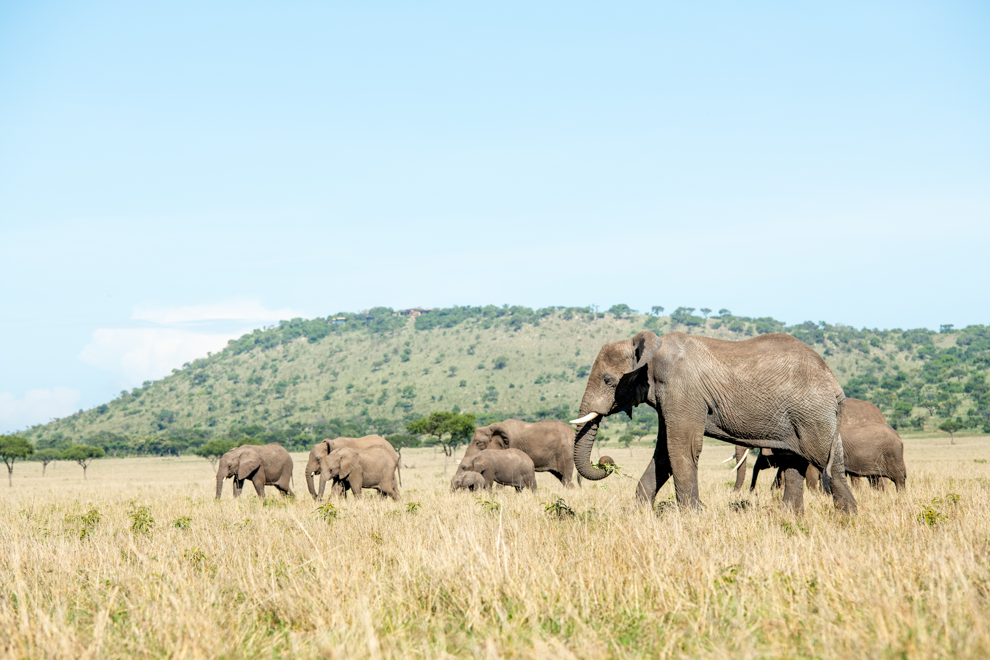 Wild Senses Holidays